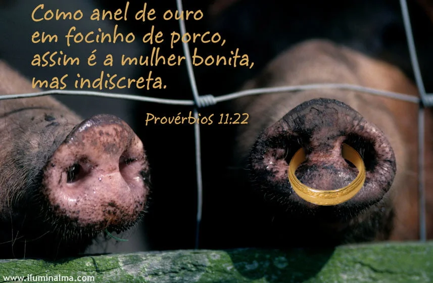 Imagem de Provérbios 11:22 » Iluminalma